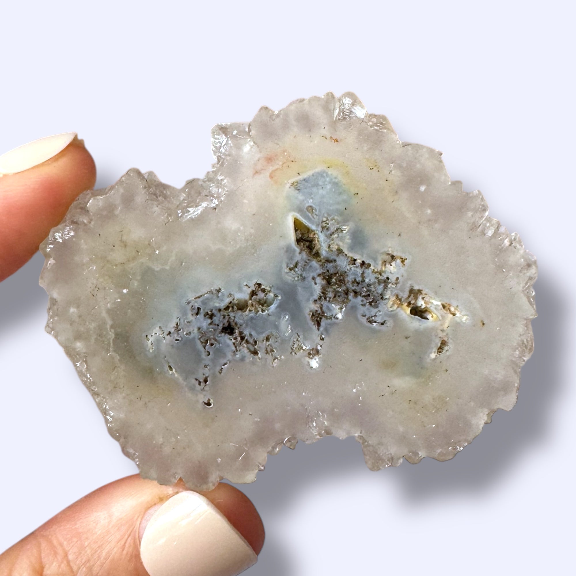 Stalactite Slice Specimen (D) – Grounded Crystals