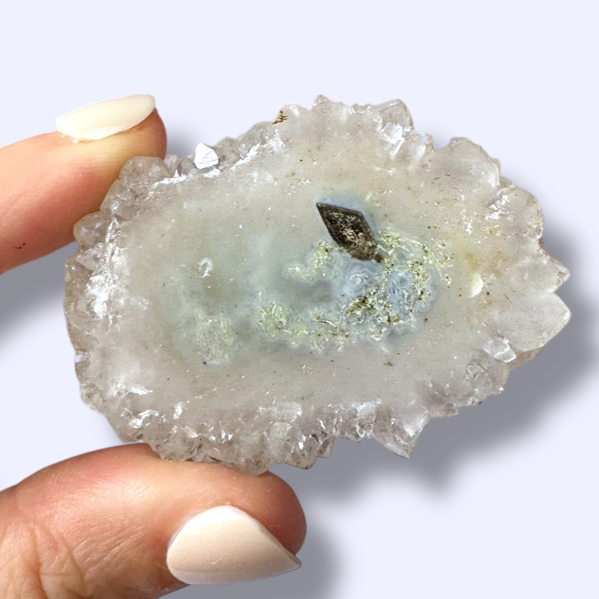 Stalactite Slice Specimen (D) – Grounded Crystals