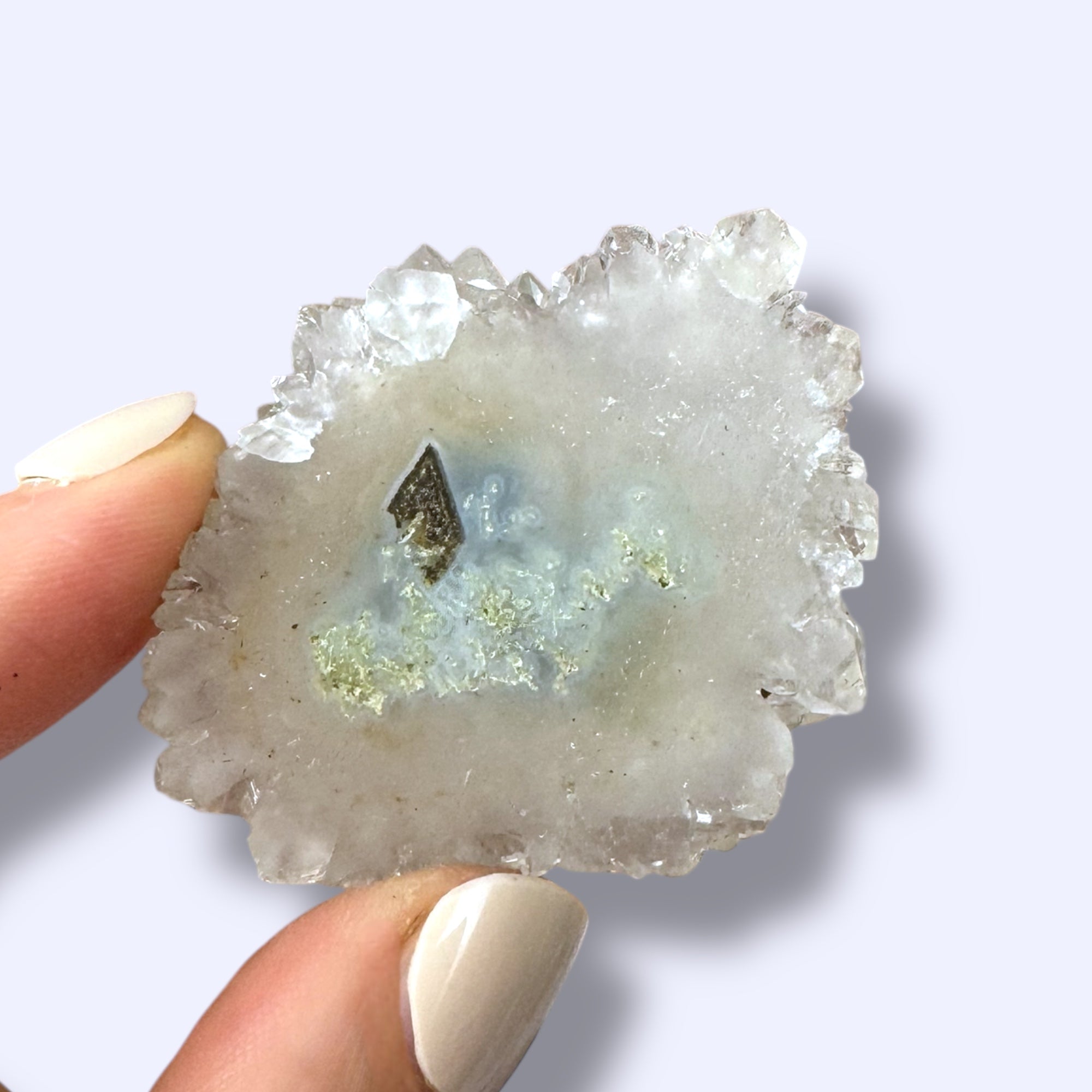 Stalactite Slice Specimen (F) – Grounded Crystals